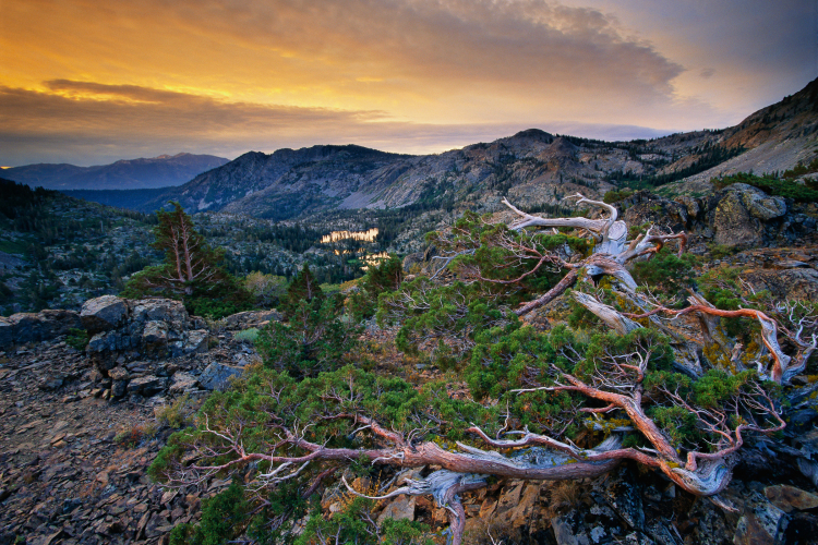 Desolation Wilderness - Paul Zaretsky Photography